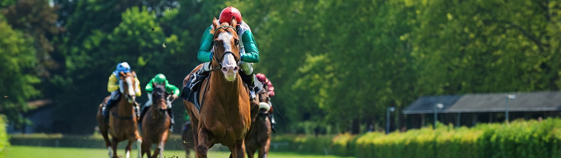 🦌 Raunchy Race Day - Perth Race Day - Bucks Party package idea