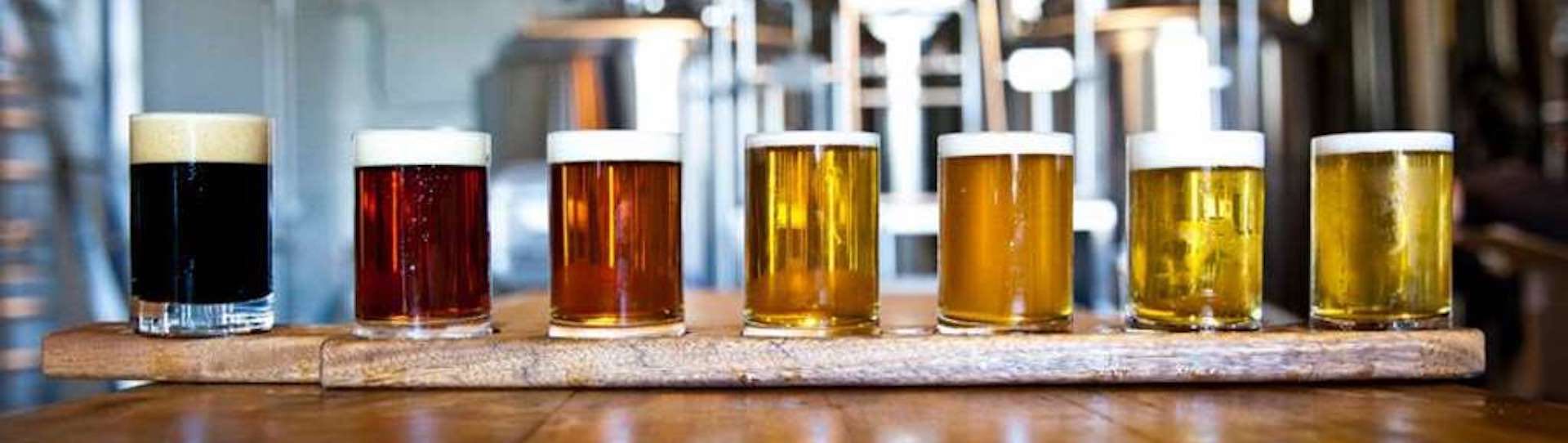 ? Brewery Tour Sydney | Bucks Party Drinking Ideas | Wicked Bucks