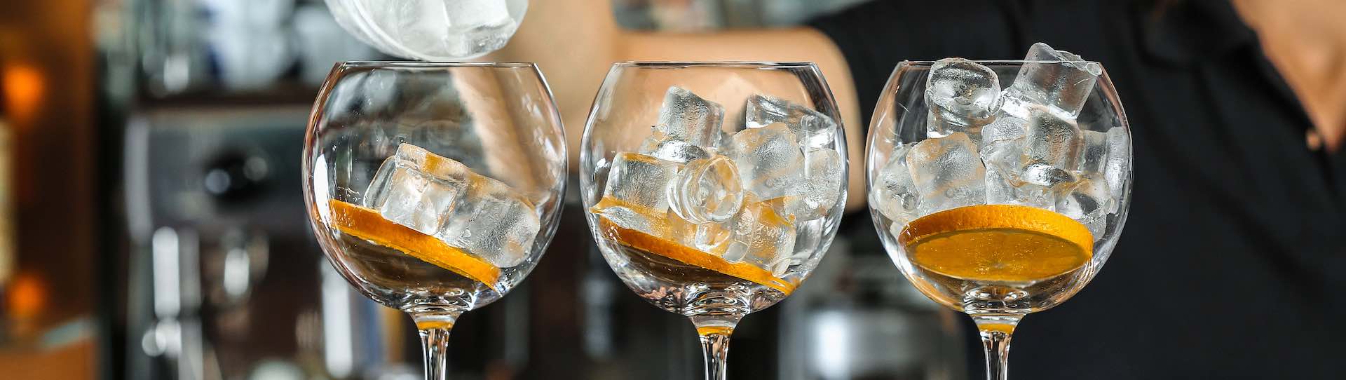 ? Gin Party Hobart Bucks Party Ideas