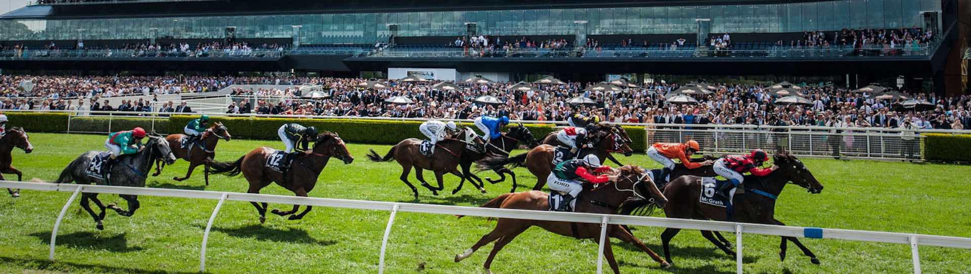 🦌 Adelaide Race Day - Wicked Bucks
