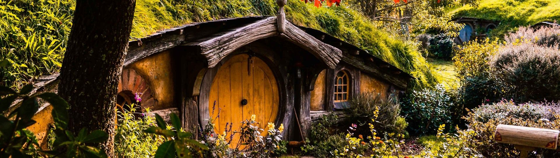 🦌 The Hobbit Movie Set Tour Tauranga - Wicked Bucks